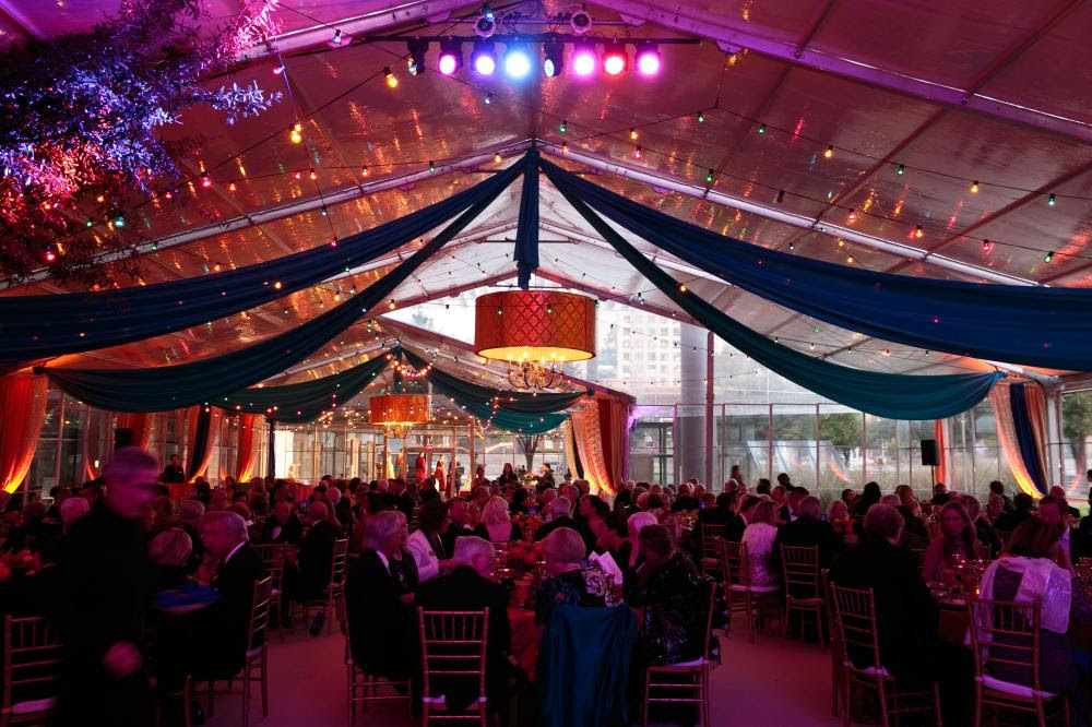 Dallas Opera To Present FIRST NIGHT 2019 With Dallas Zoo - OperaWire ...