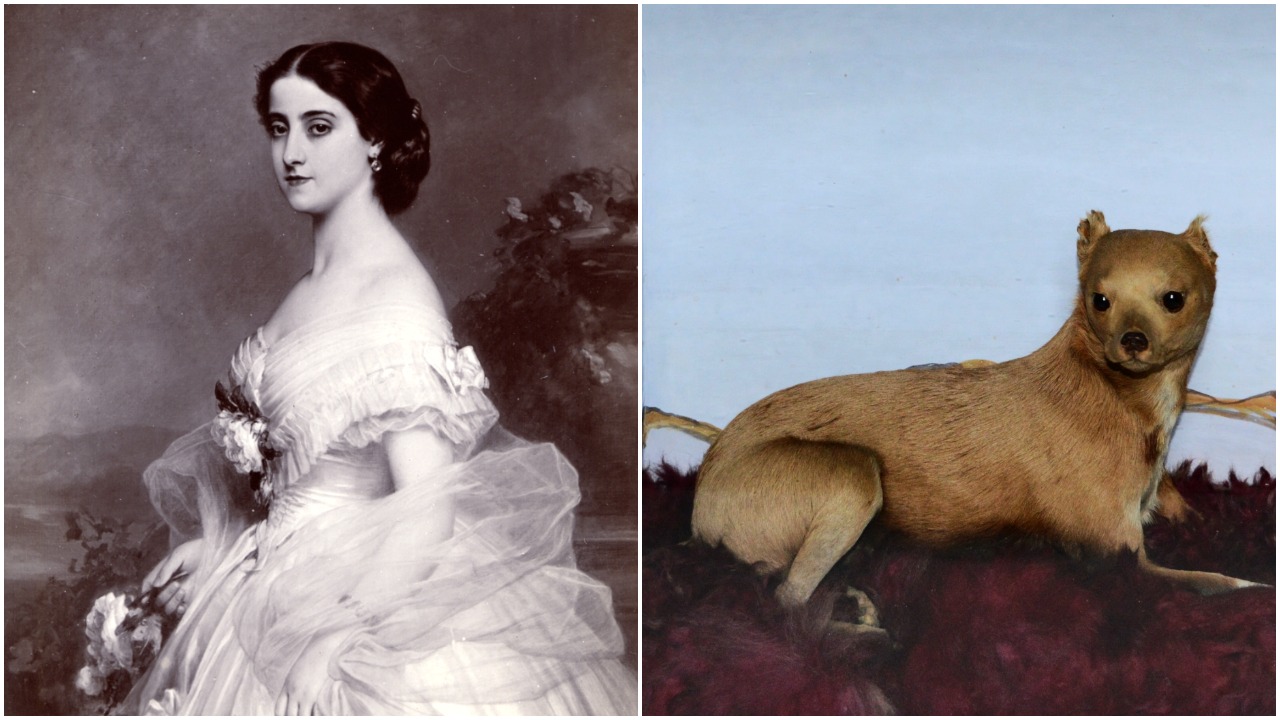 The Wonderful World of Opera Dogs - Adelina Patti's Chihuahuas ...
