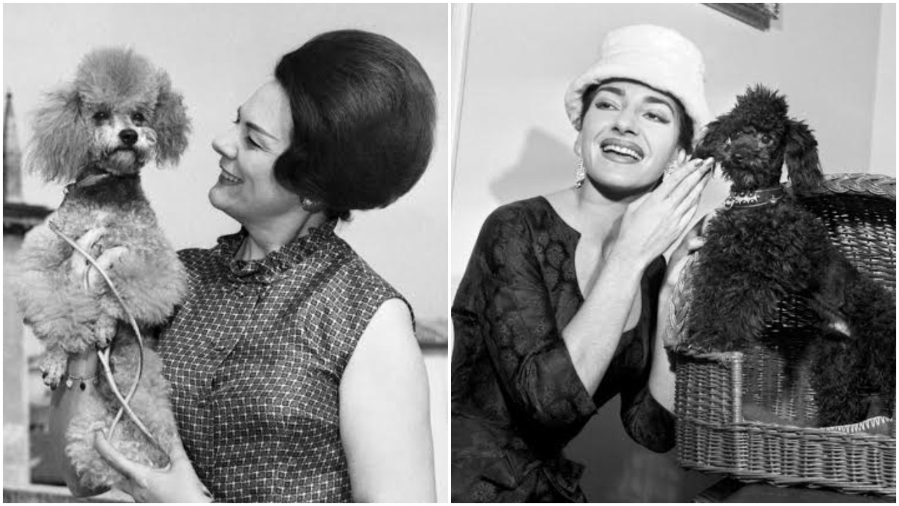 The Wonderful World of Opera Dogs: Rudolf Bing At the Met - Divas ...