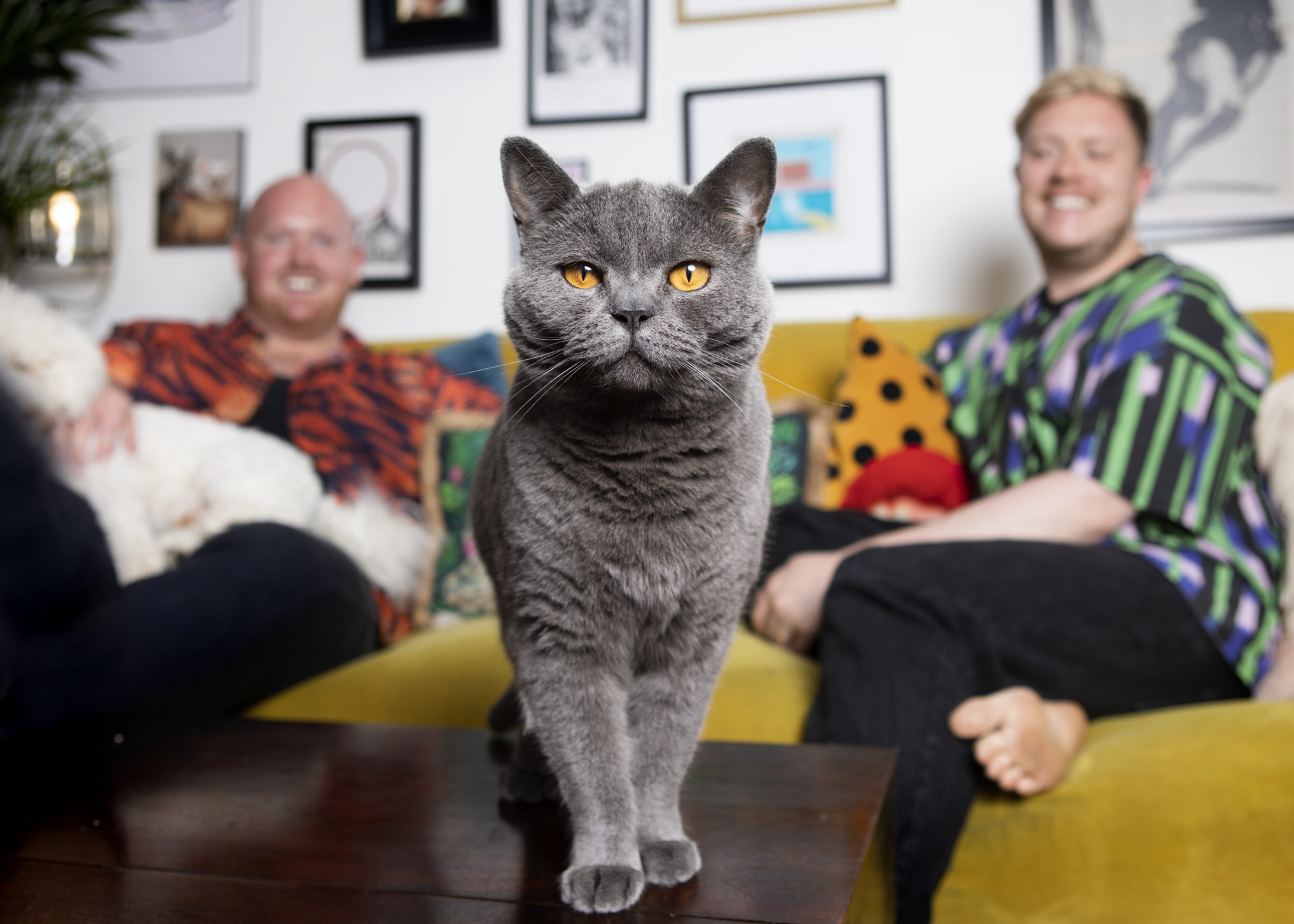 At Home With - Tenor Nicky Spence & Pianist Dylan Perez in the UK ...