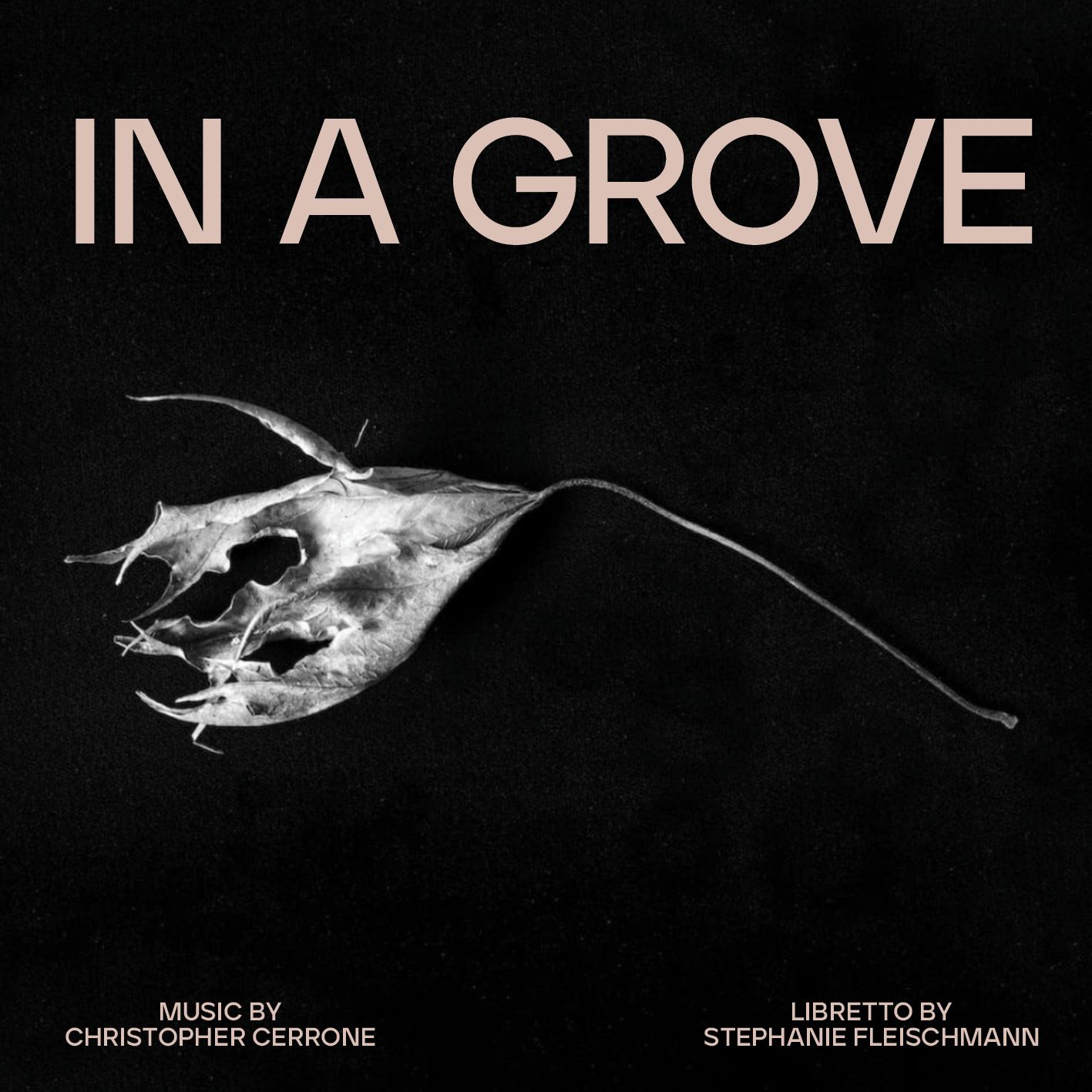 CD Review: Christopher Cerrone’s 'In a Grove' - OperaWire OperaWire