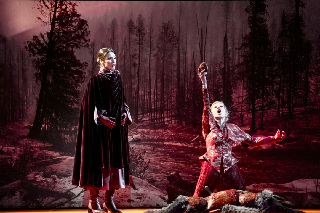 Staatsoper unter den Linden 2025-26 Review: 'Das kalte Herz' (The Cold ...